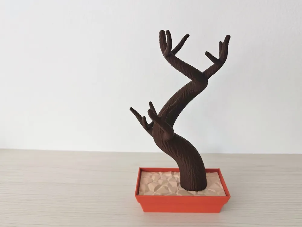 Bonsai-Luftpflanzenhalter – Kostenloses 3D-Druckmodell – MakerWorld