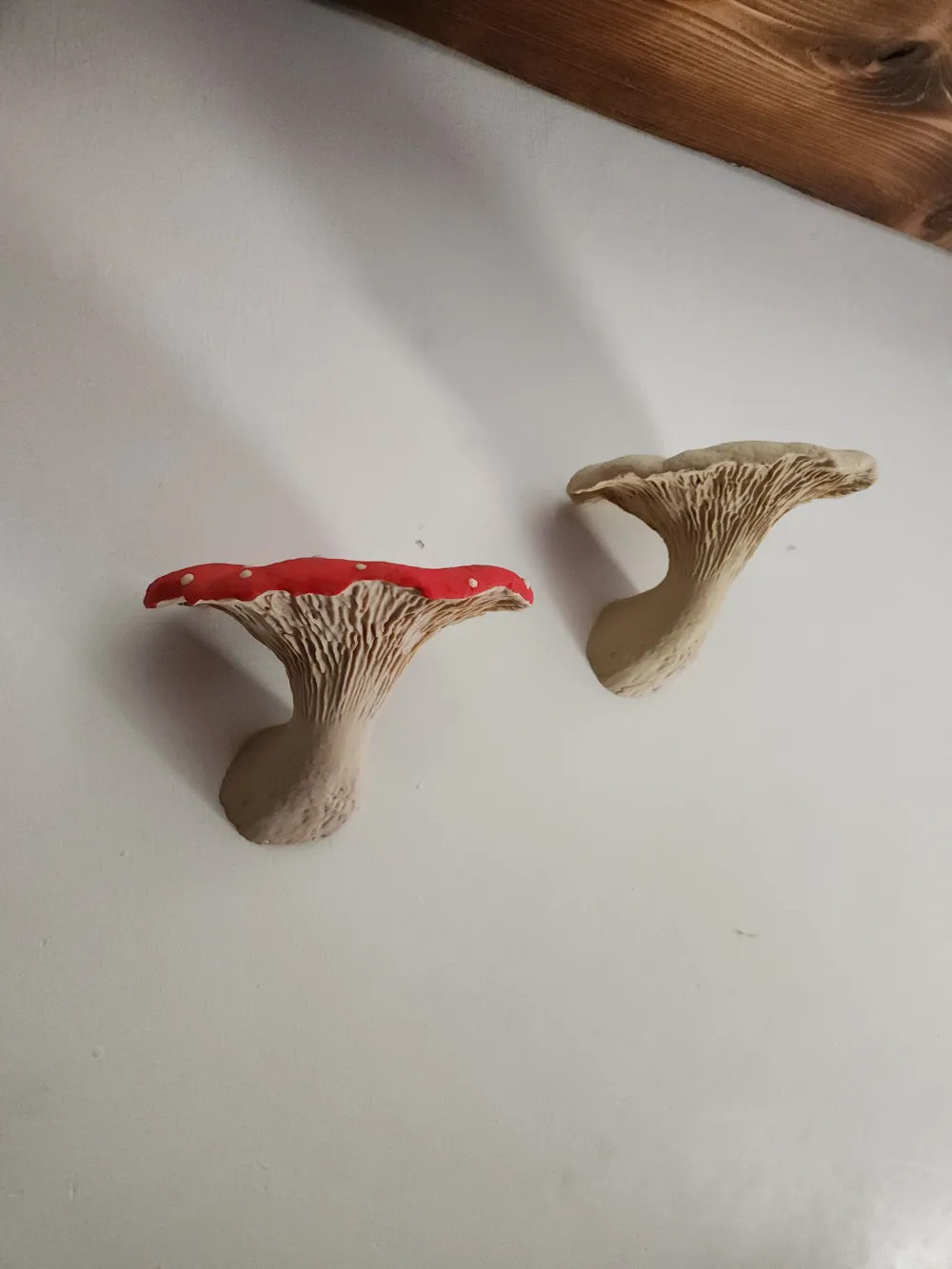 Mushroom Shelves!!! - Free 3D Print Model - MakerWorld