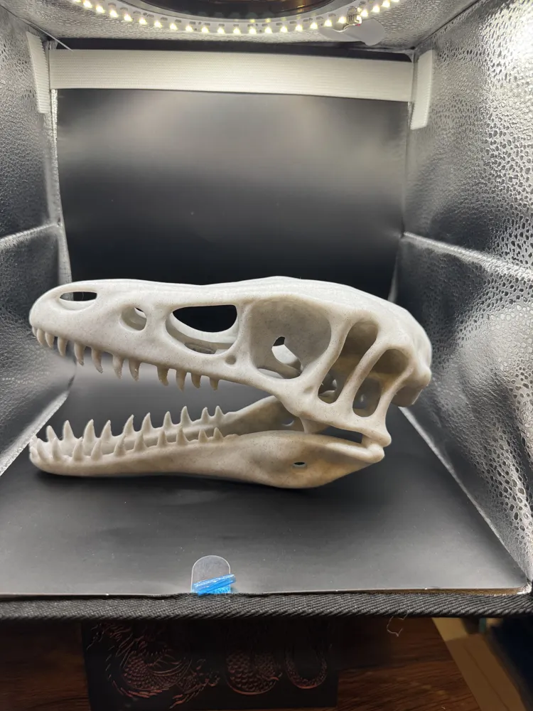 Raptor Skull - Free 3D Print Model - MakerWorld