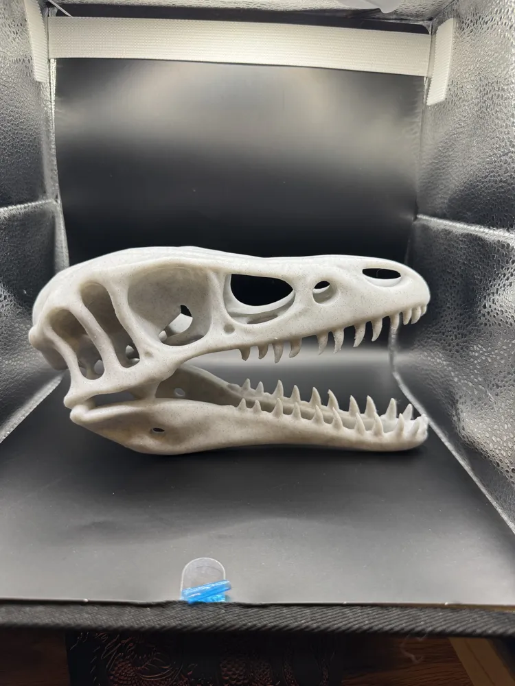Raptor Skull - Free 3D Print Model - MakerWorld