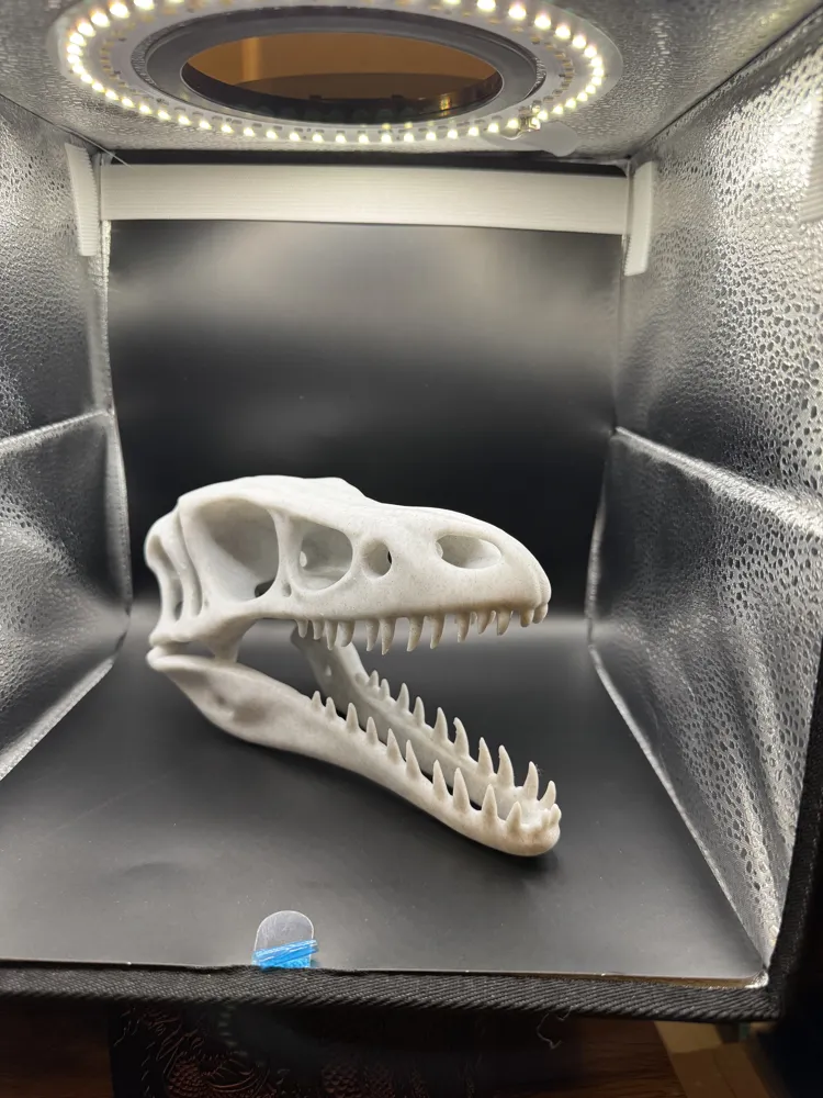Raptor Skull - Free 3D Print Model - MakerWorld
