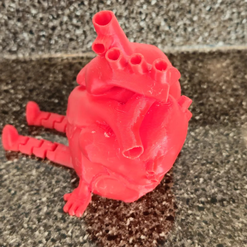 Realistic Heart Buddy with legs - Free 3D Print Model - MakerWorld