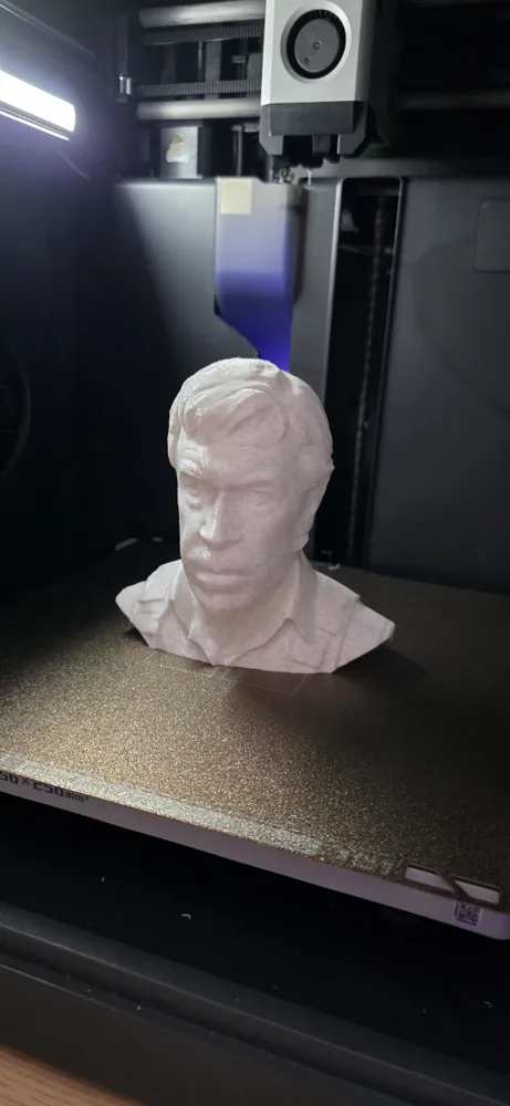 Chuck Norris Bust by Juan MakerWorld: Download Free 3D Models