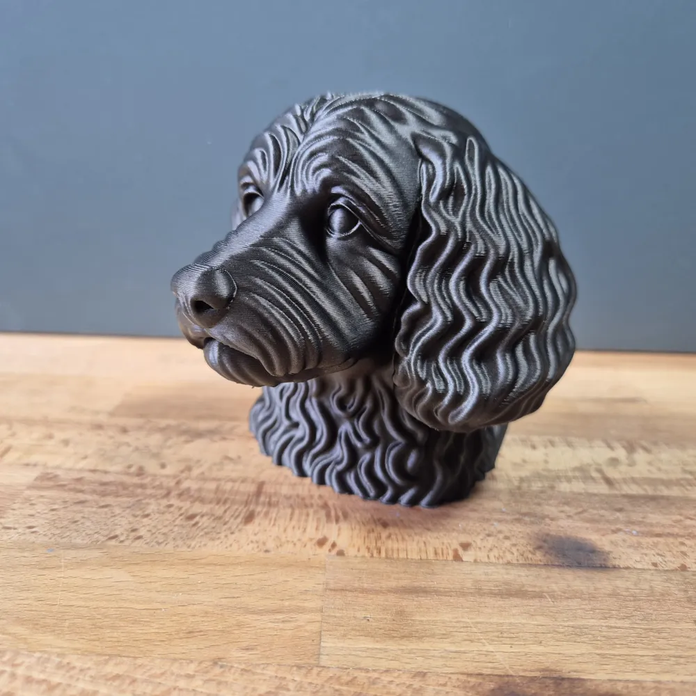 Cockapoo Bust by Mr.Jay MakerWorld: Download Free 3D Models