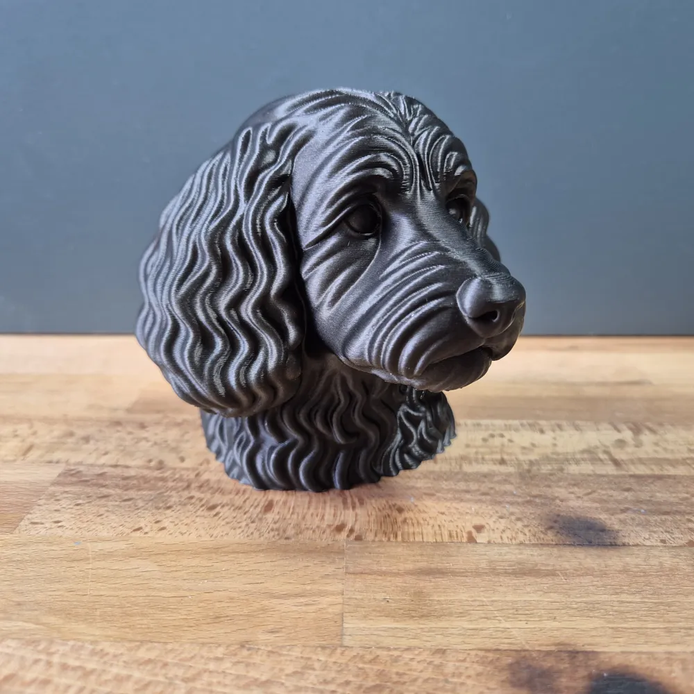 Cockapoo Bust by Mr.Jay MakerWorld: Download Free 3D Models