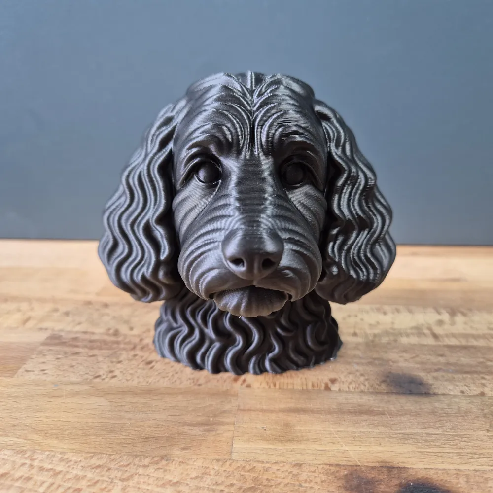 Cockapoo Bust by Mr.Jay MakerWorld: Download Free 3D Models