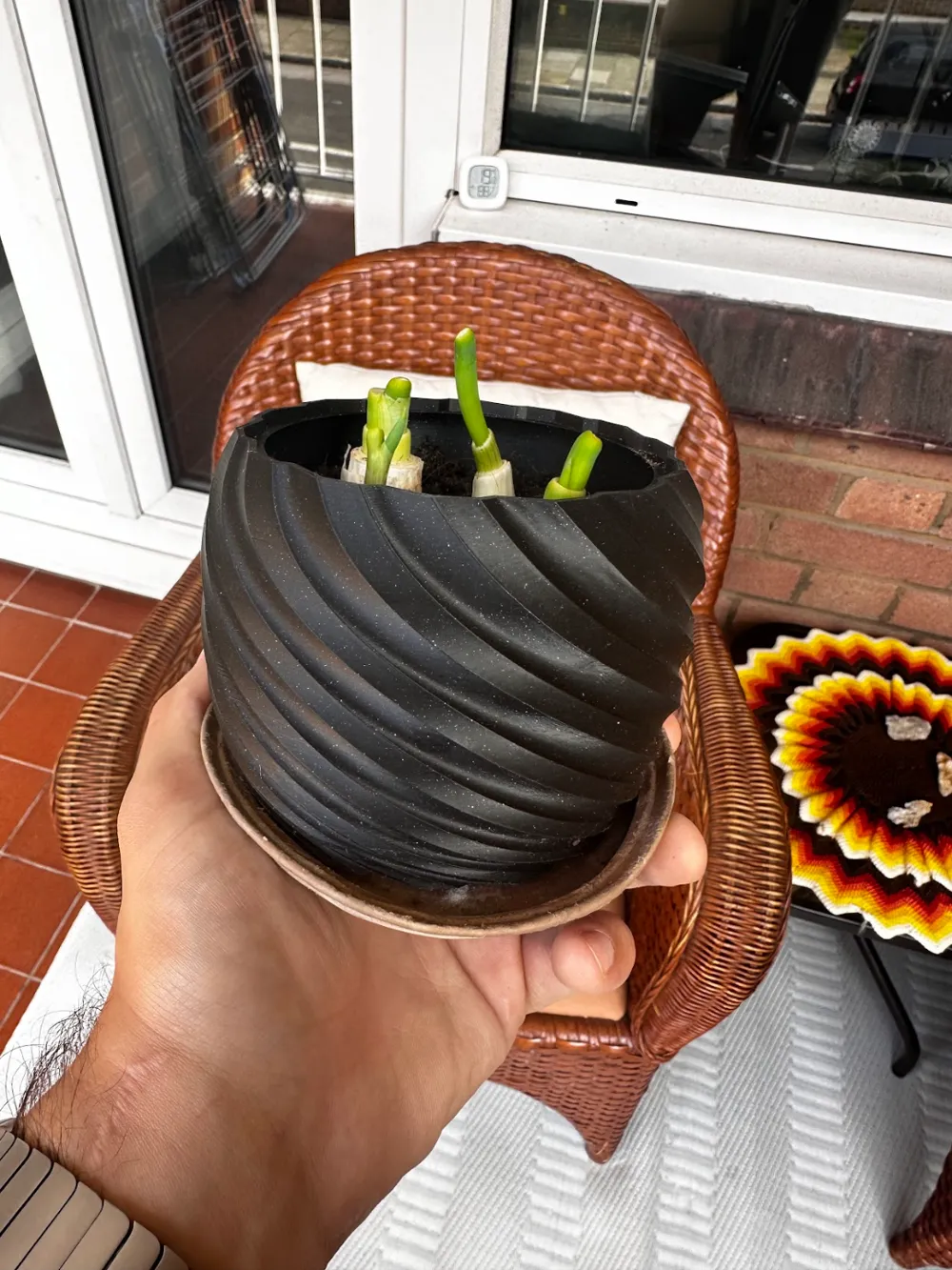My Twisted Plant Pot by Jiff - MakerWorld