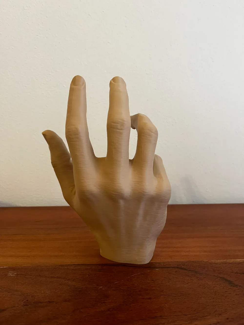 My Real hand by Vozfrank MakerWorld: Download Free 3D Models
