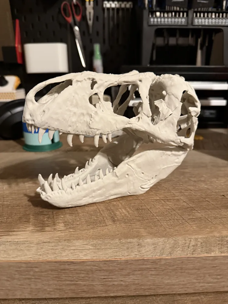 T-rex Skull Replica - Free 3D Print Model - MakerWorld