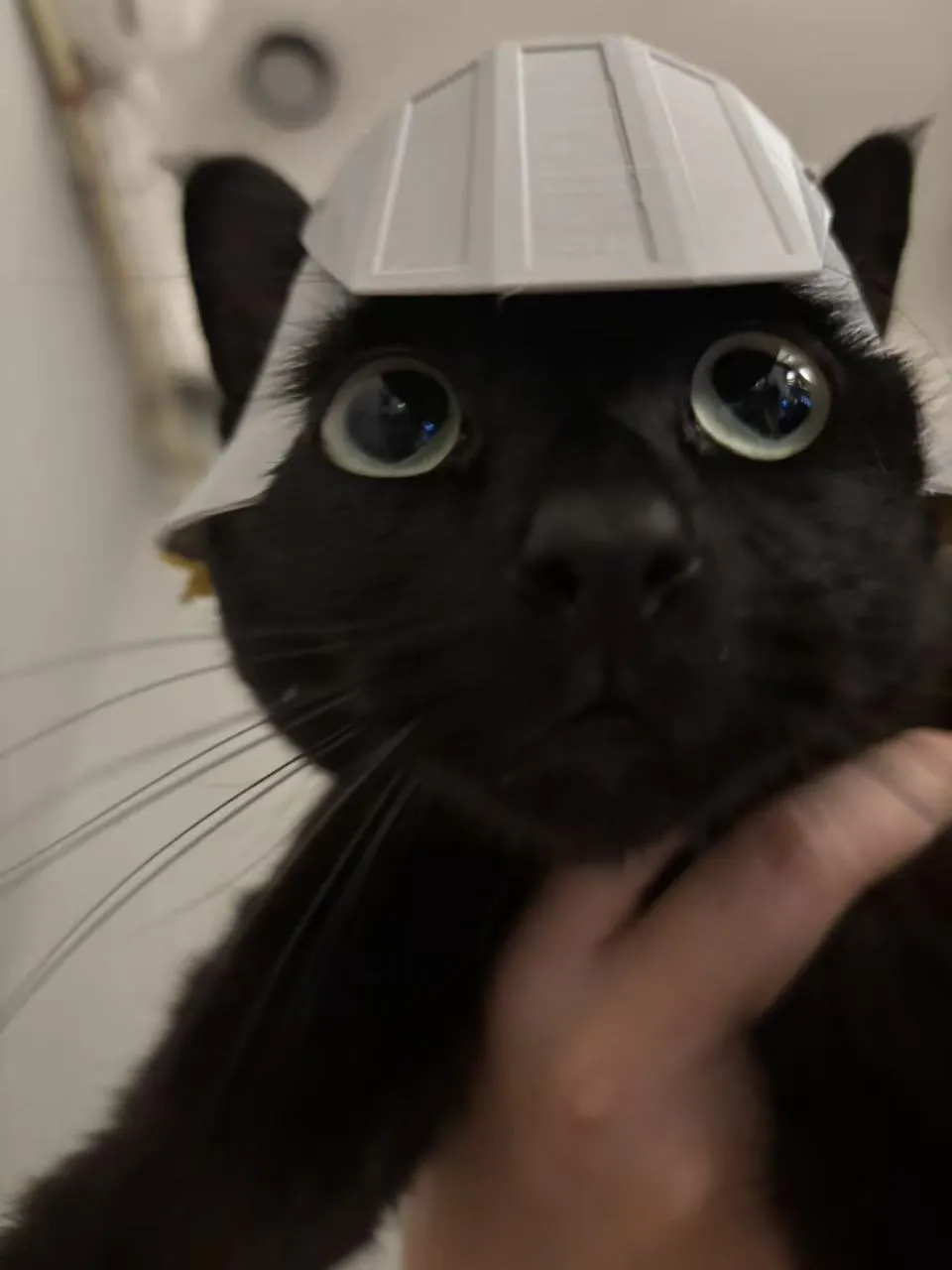 Monster Hunter Palico Helmet by ajxmq MakerWorld: Download Free 3D Models