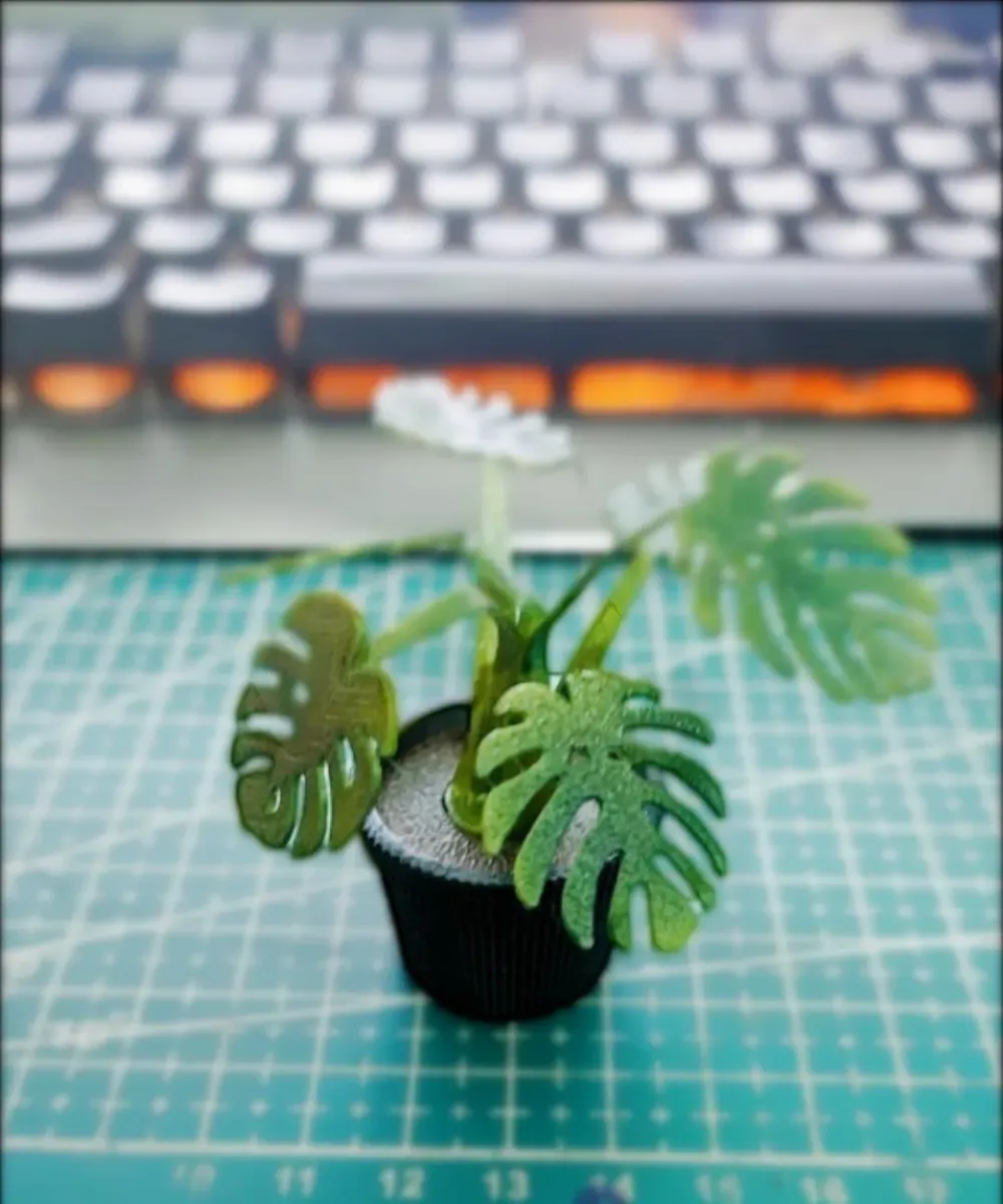 [Lucas Creations] Everlasting Bonsai Series 1 - Succulent Bonsai by ...
