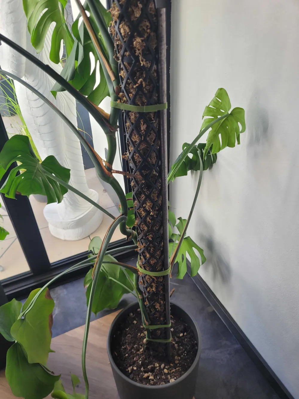 Modular Moss Pole 65mm/45mm with Water Reservoir - Free 3D Print Model ...