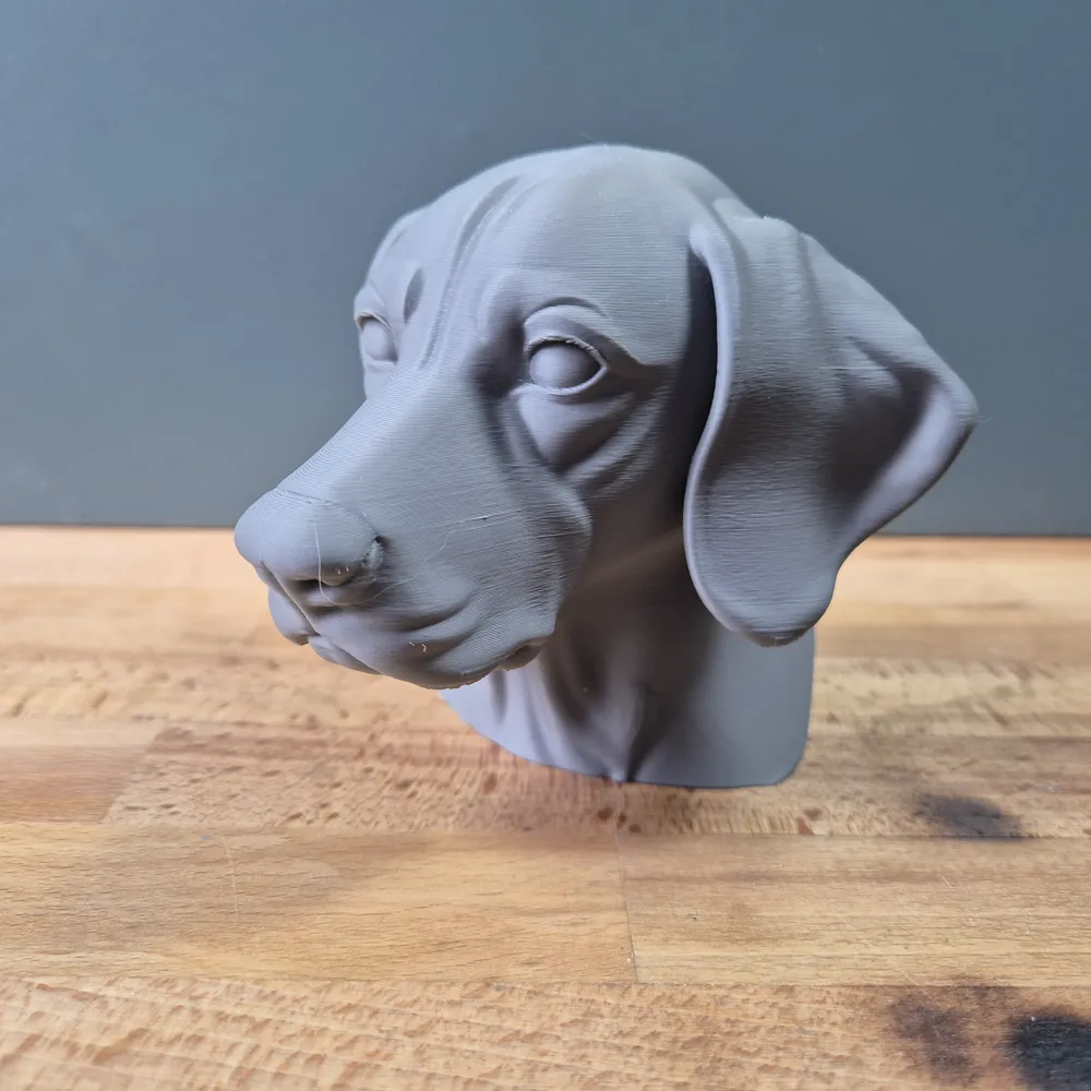 German Shorthaired Pointer Bust by Mr.Jay MakerWorld: Download Free 3D ...