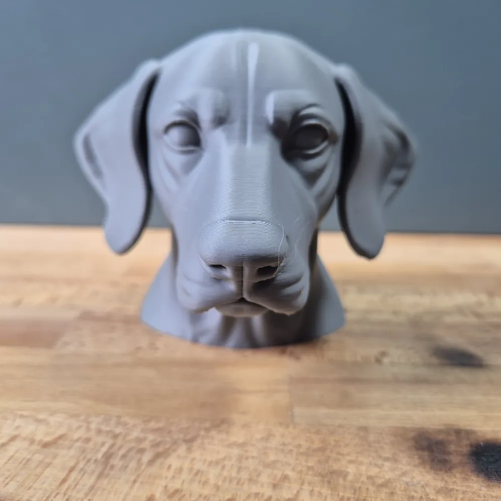 German Shorthaired Pointer Bust by Mr.Jay MakerWorld: Download Free 3D ...
