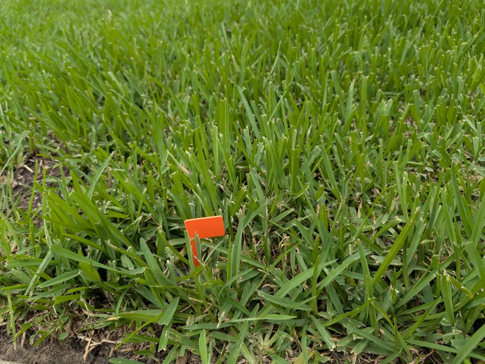Landscaping Marker Stake / Flag by Sage Prints and Design MakerWorld ...