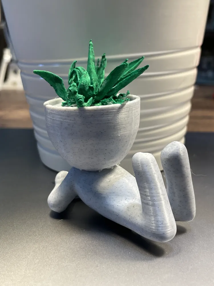 Mini Desk Planter "The curious" Cute Succulent Pot by ...