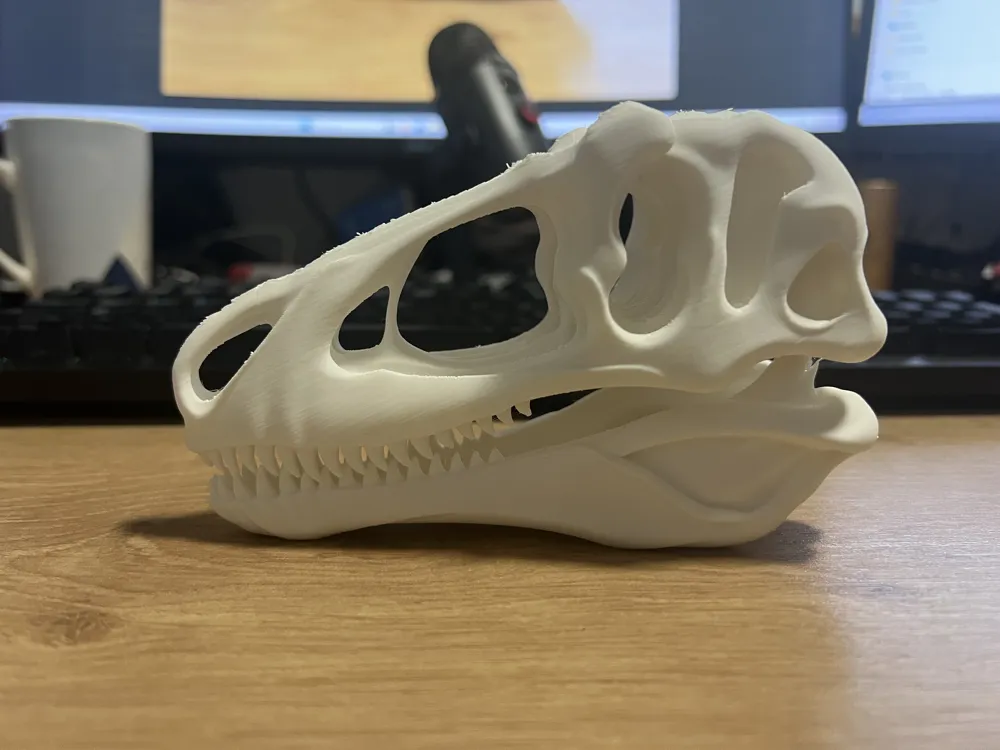 The Stocky Dragon: Balaur Bondoc Dinosaur Skull - Free 3D Print Model ...