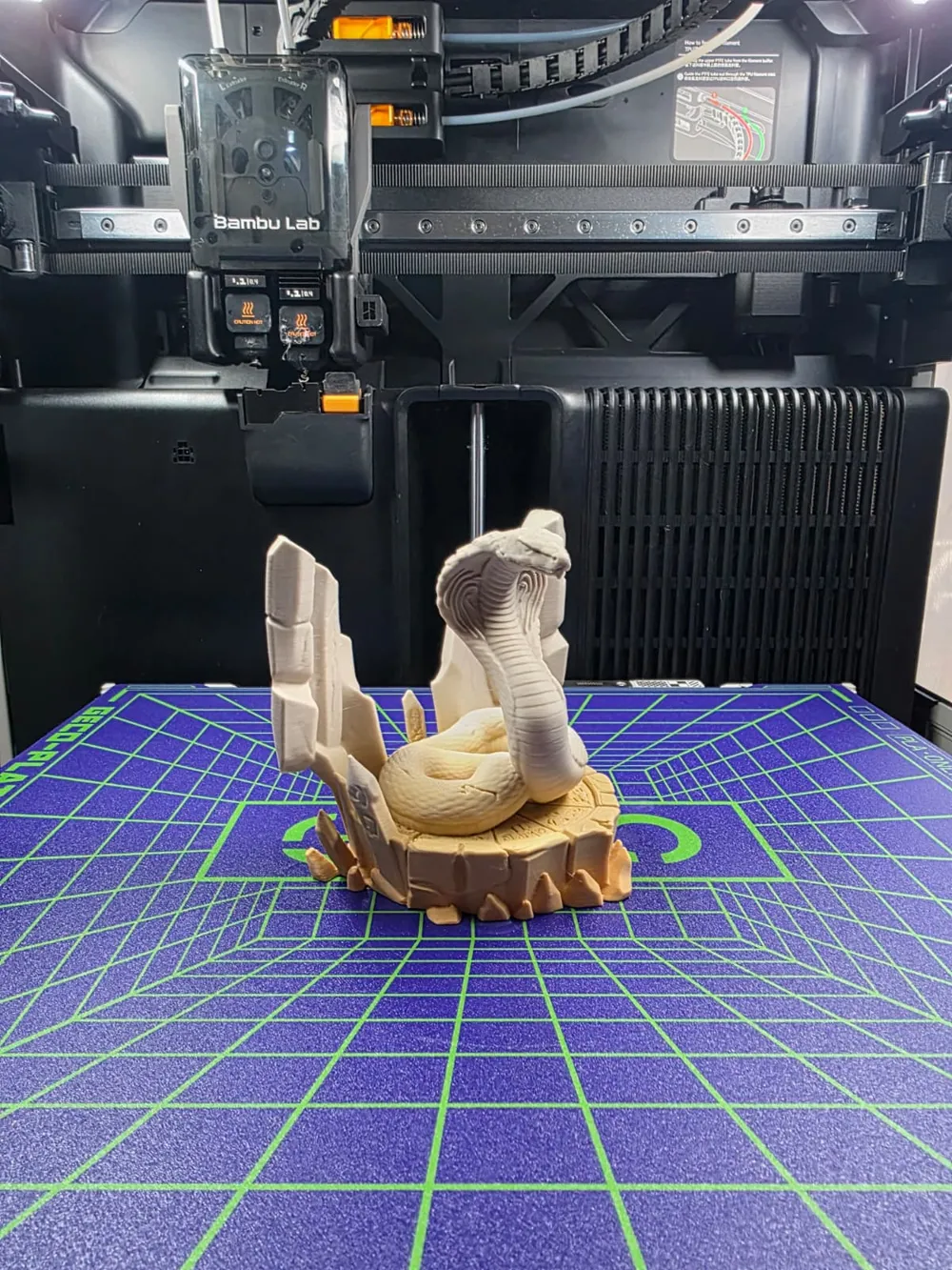 Mystic King Cobra - Free 3D Print Model - MakerWorld