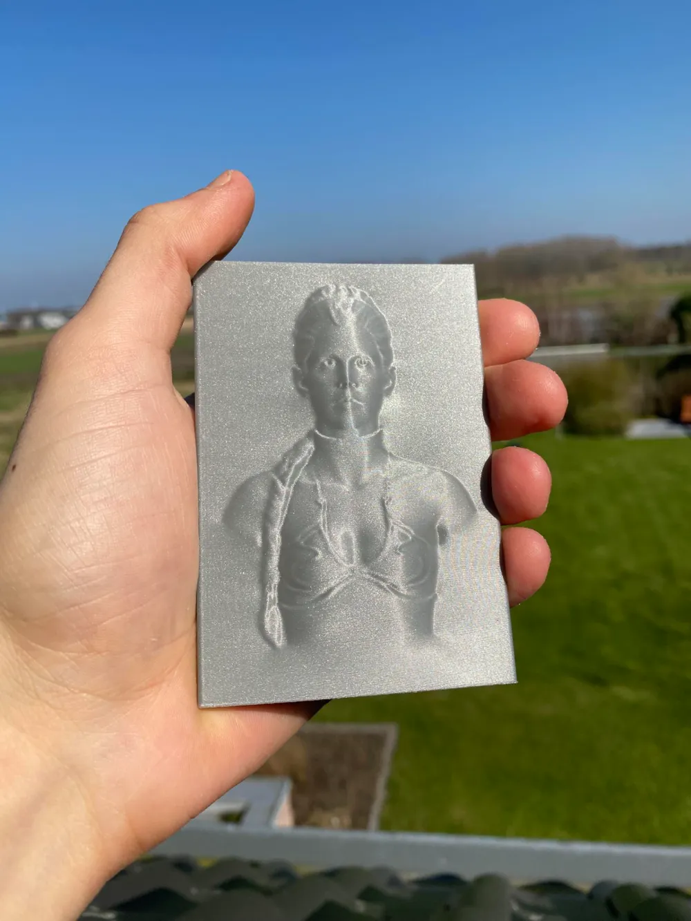 Star Wars: Leia Relief Sculpture - Free 3D Print Model - MakerWorld