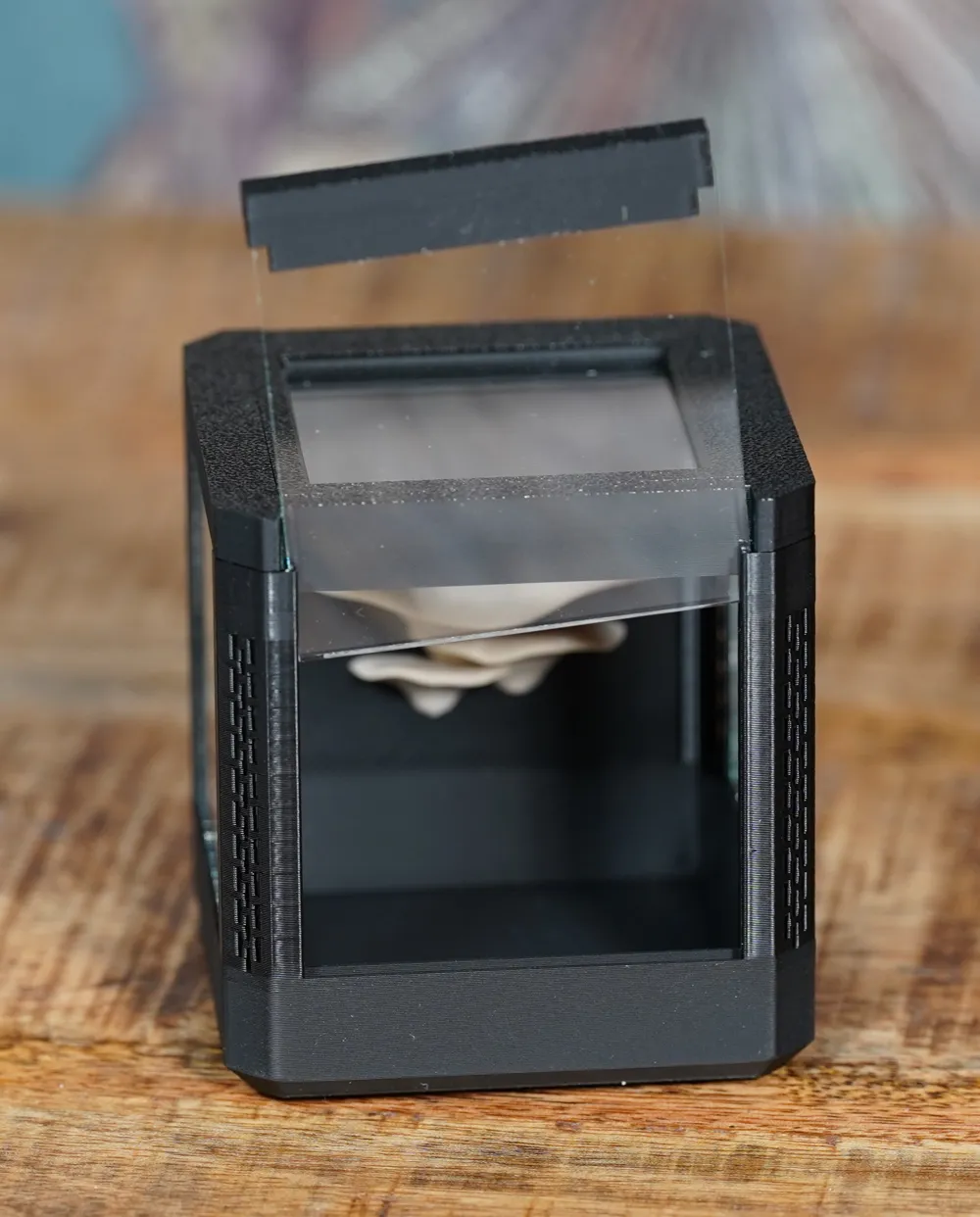 Modular Micro Terrarium - Juvenile Enclosure - Free 3D Print Model ...