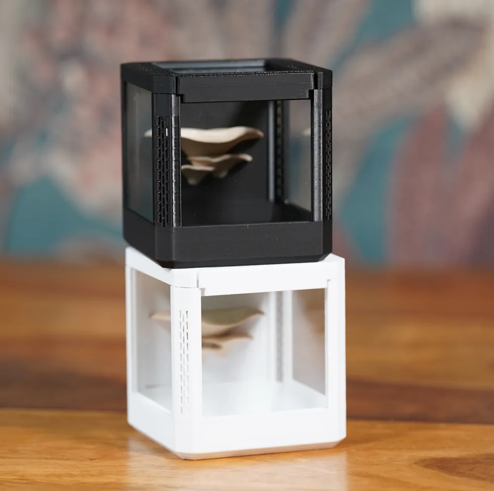 Modular Micro Terrarium - Juvenile Enclosure - Free 3D Print Model ...