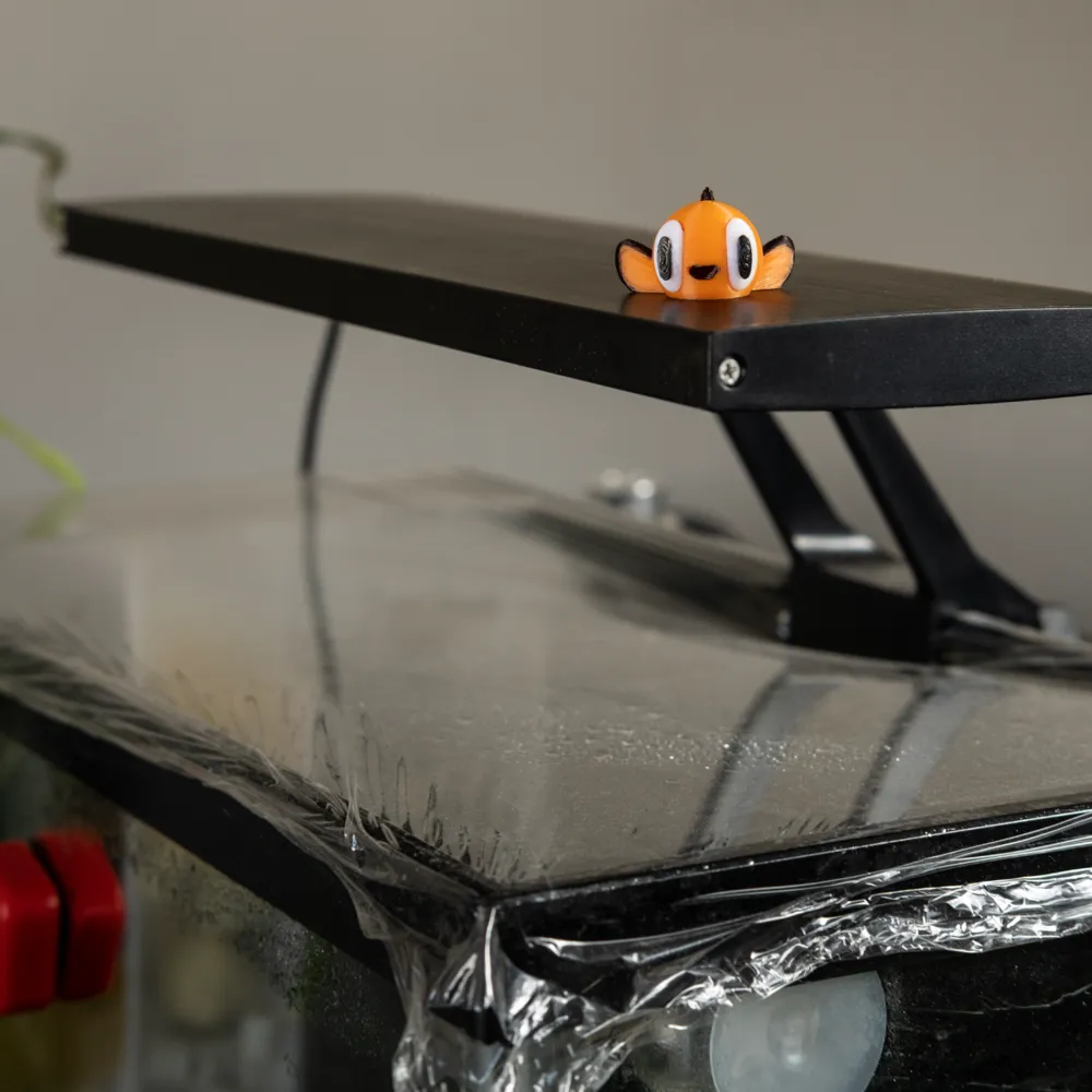 clownfish - Flexi Articulated Fish by 🟢 Flexi JIMGA MakerWorld ...