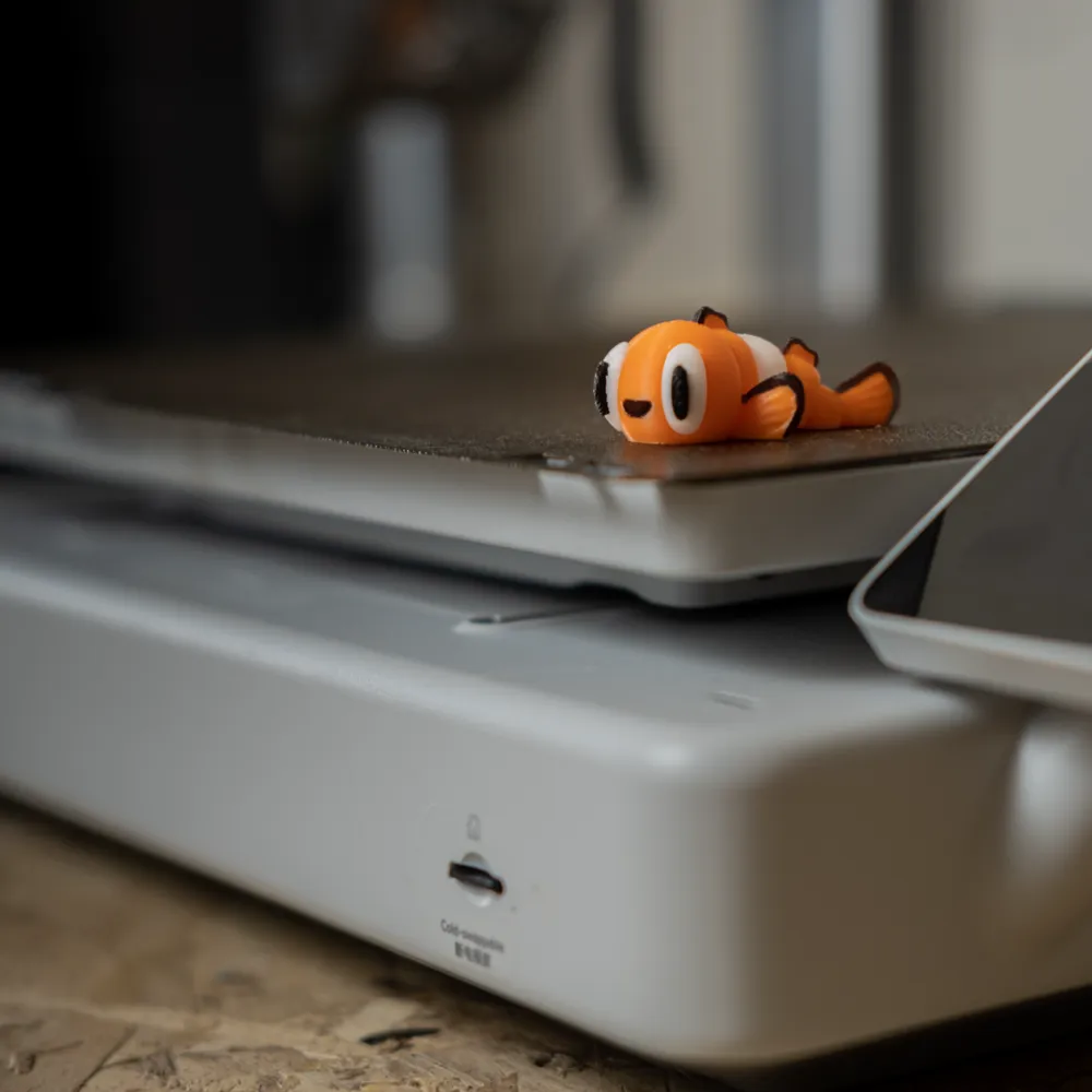 clownfish - Flexi Articulated Fish by 🟢 Flexi JIMGA MakerWorld ...