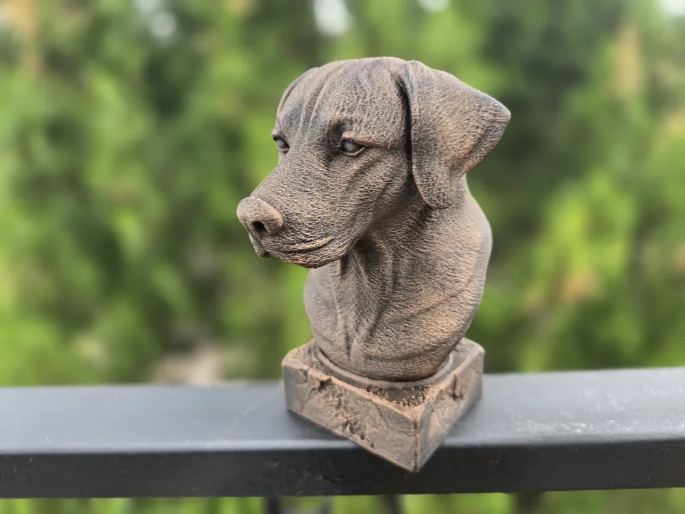 RHODESIAN RIDGEBACK BUST by Messy_Panda MakerWorld: Download Free 3D Models