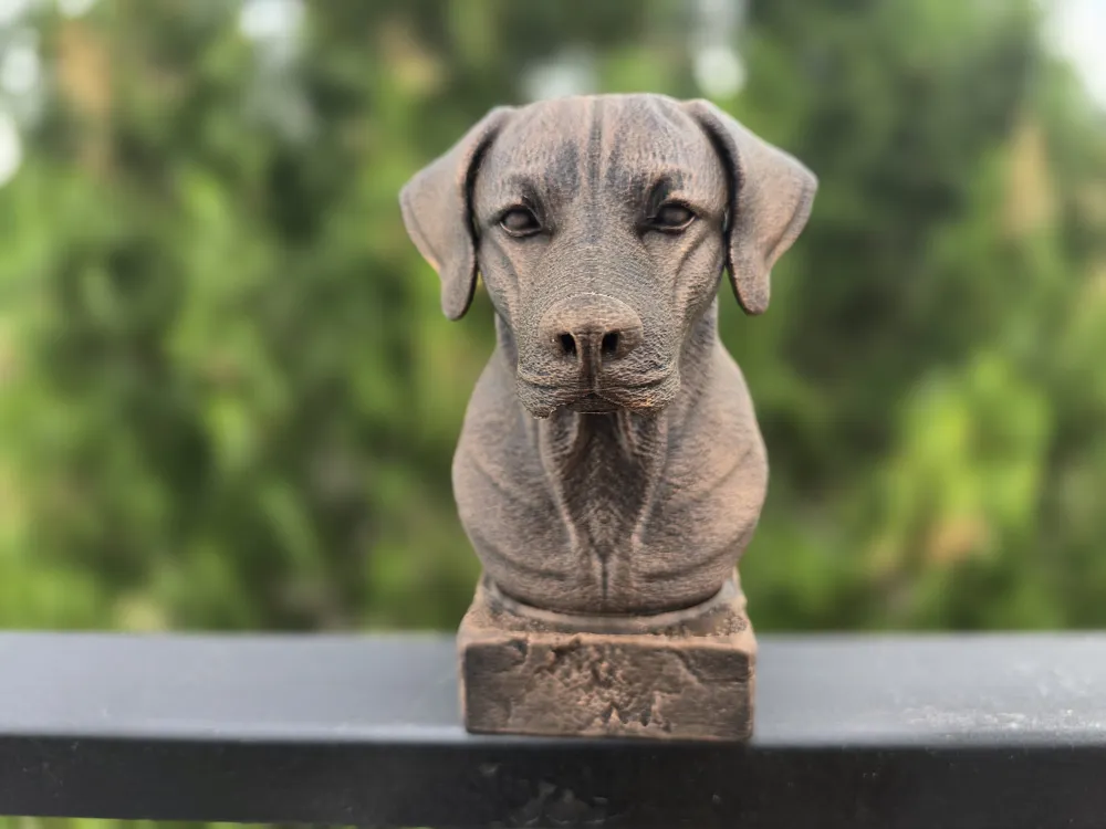 RHODESIAN RIDGEBACK BUST by Messy_Panda MakerWorld: Download Free 3D Models