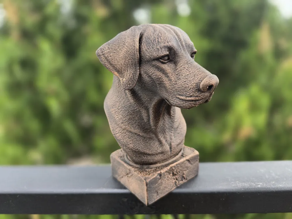 RHODESIAN RIDGEBACK BUST by Messy_Panda MakerWorld: Download Free 3D Models