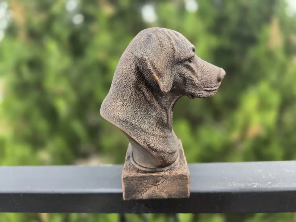 RHODESIAN RIDGEBACK BUST by Messy_Panda MakerWorld: Download Free 3D Models