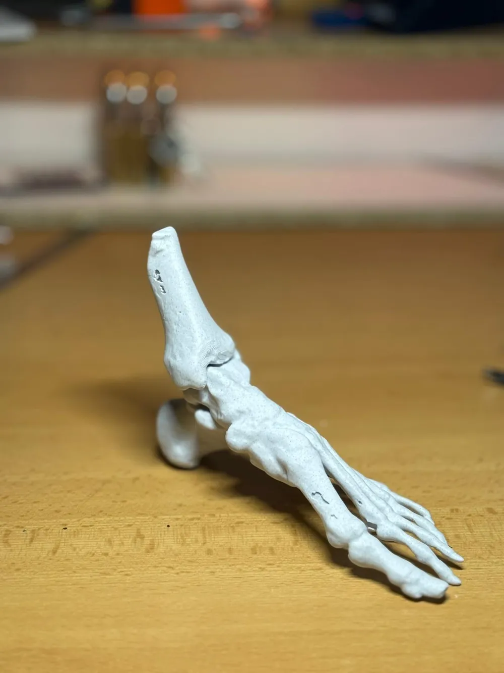 Human Foot Bone - Real MRI Scan - Free 3D Print Model - MakerWorld