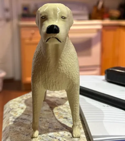 Labrador Retriever Low Poly by Chose3dMakerWorld: Download Free 3D Models