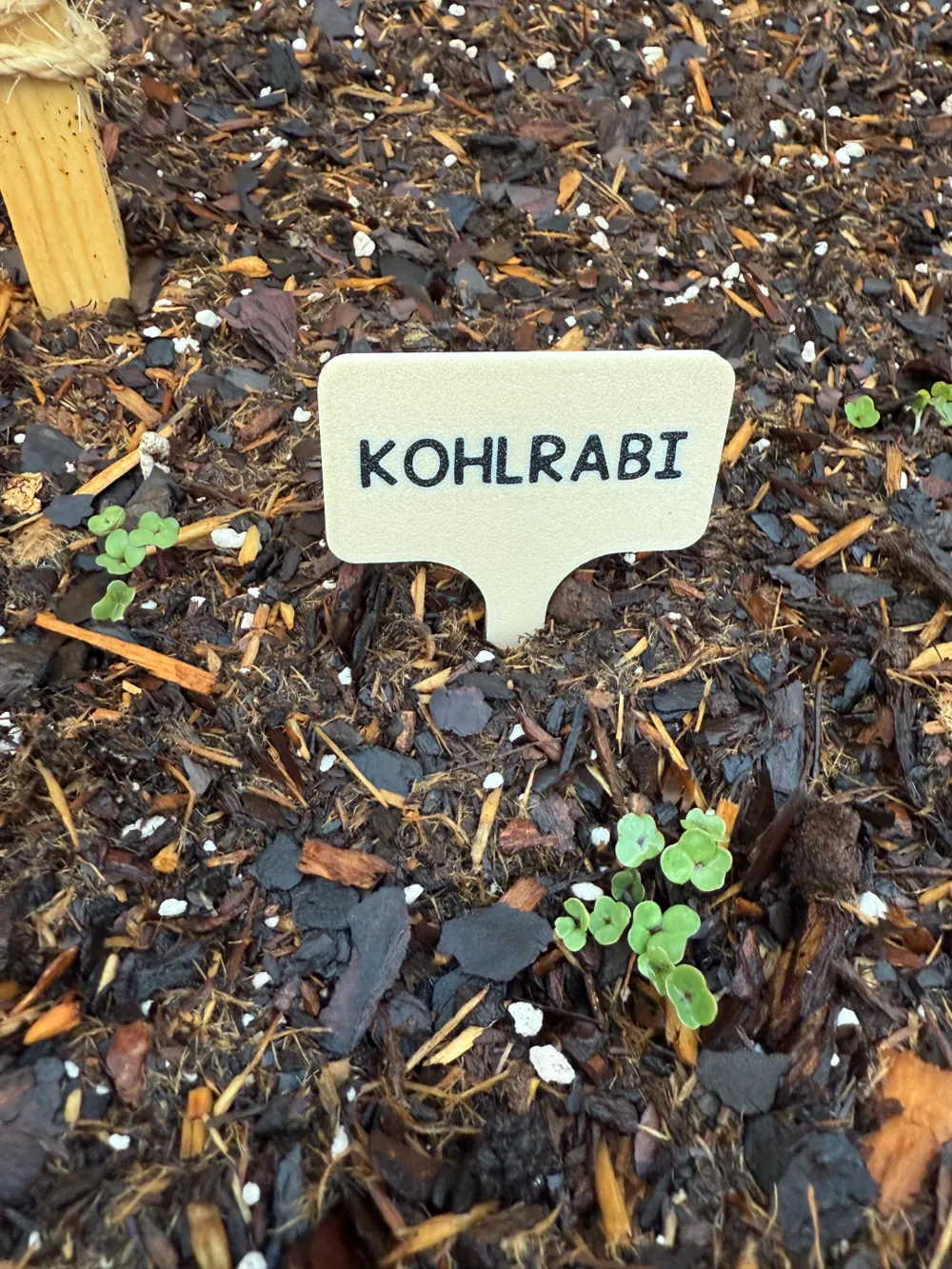 Garden Markers for Plants and Vegetables Editable - Free 3D Print Model ...