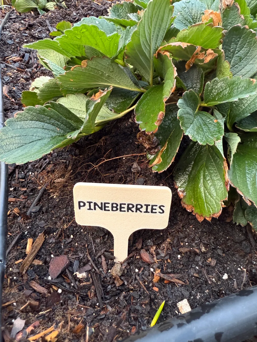 Garden Markers for Plants and Vegetables Editable - Free 3D Print Model ...