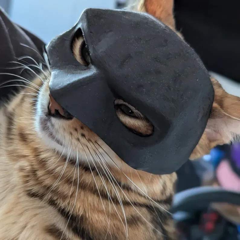 Batcat Mask / CatMan The Dark Meow Cat Bat Mask Remixed by SB ...