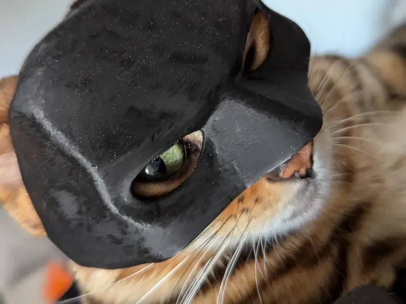 Batcat Mask / CatMan The Dark Meow Cat Bat Mask - Free 3D Print Model ...