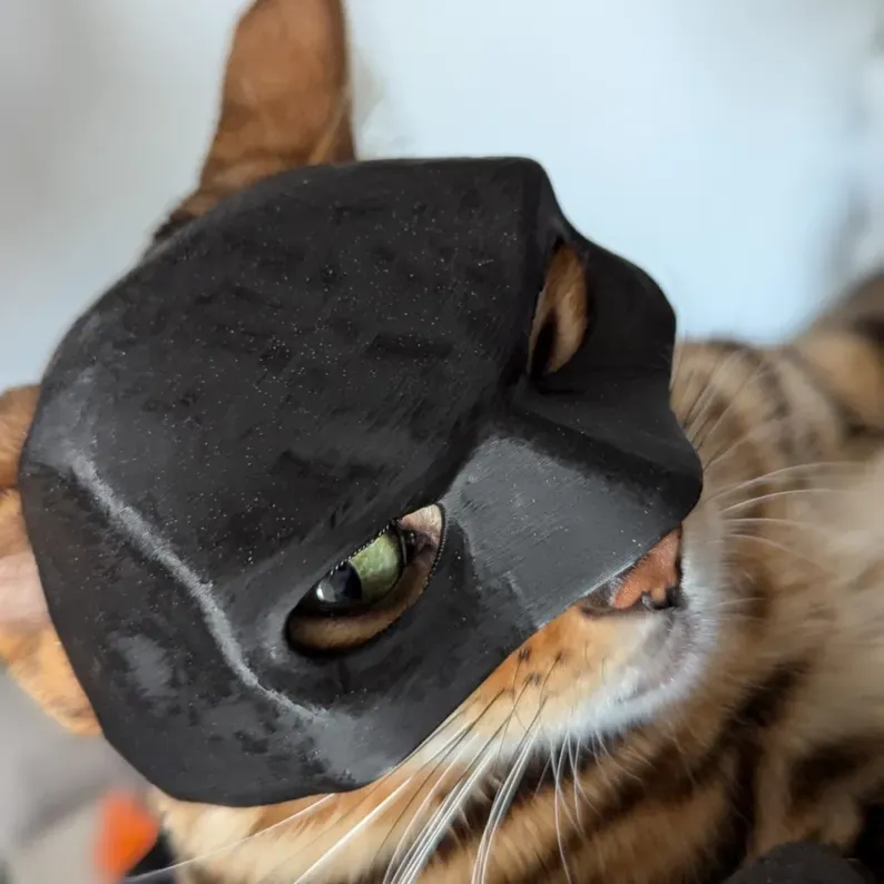 Batcat Mask / CatMan The Dark Meow Cat Bat Mask Remixed by SchmerBle ...