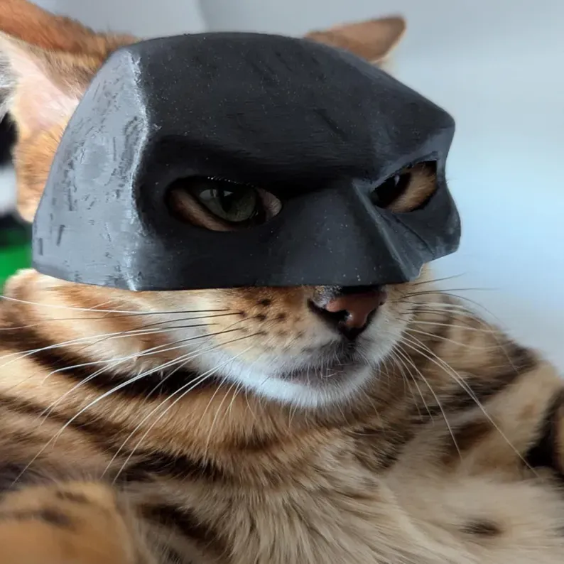 Batcat Mask / CatMan The Dark Meow Cat Bat Mask Remixed by SchmerBle ...