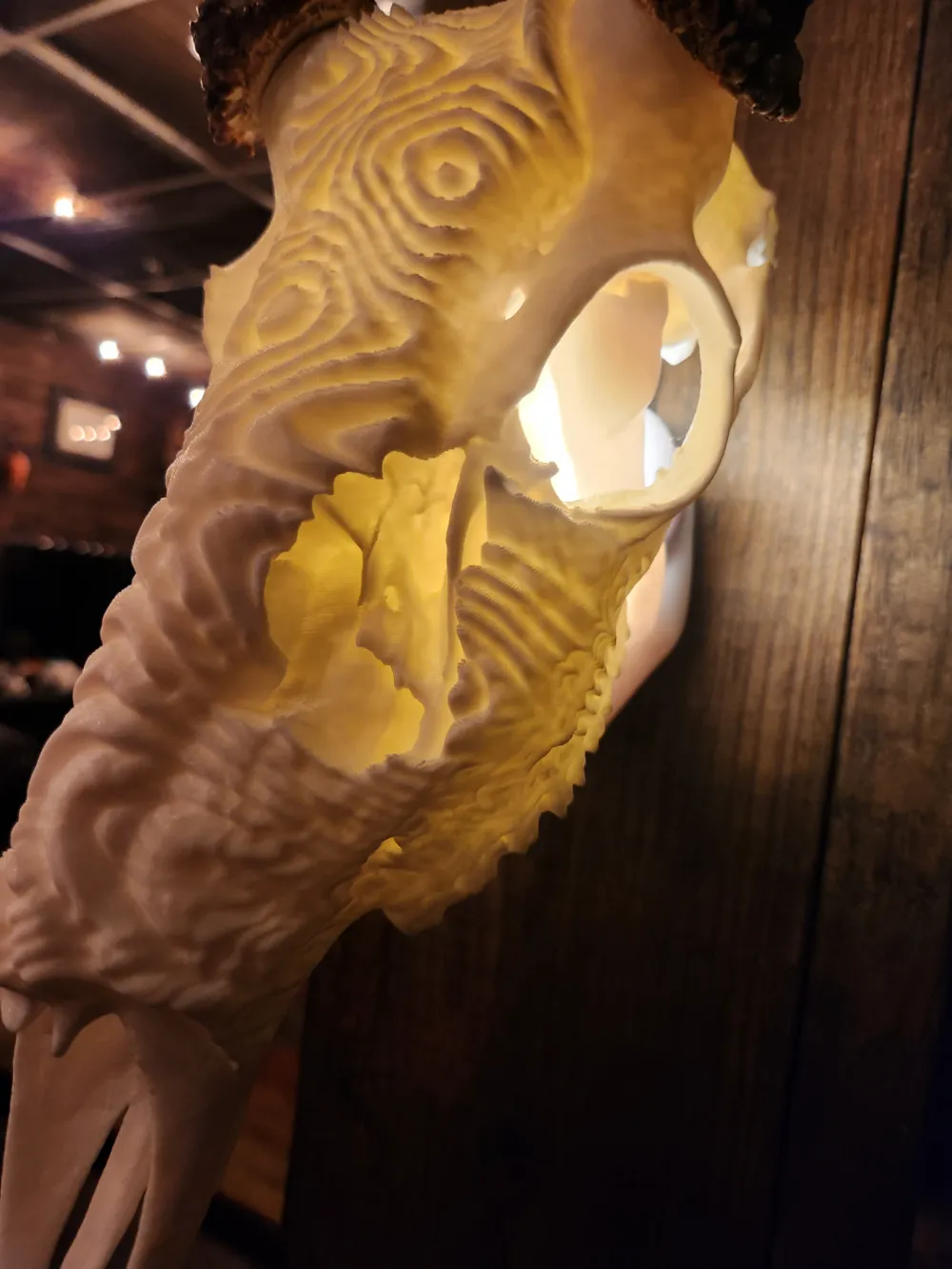 "Damascus" Deer Antler Mount by DTM247MakerWorld: Download Free 3D Models