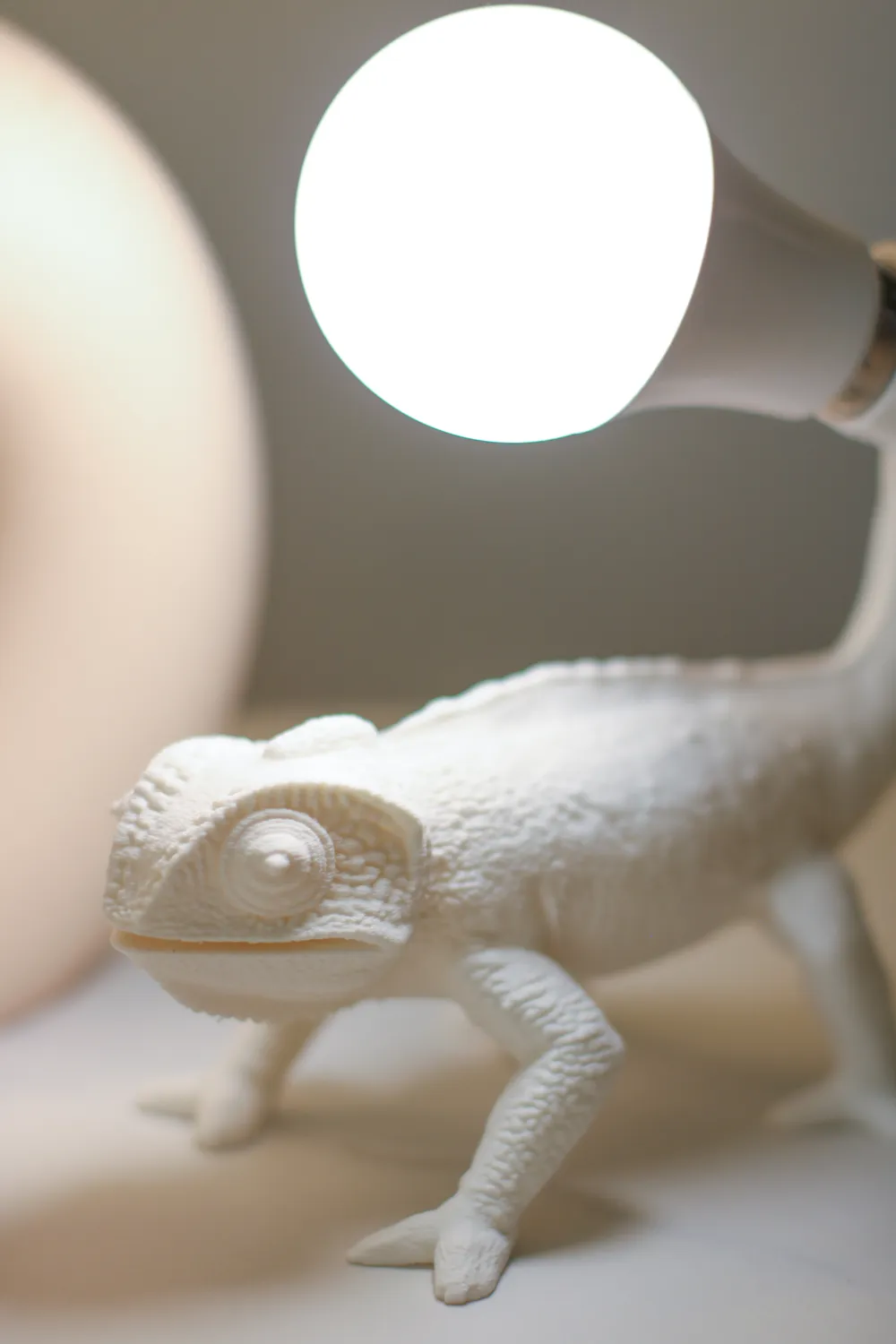 Realistic Chameleon Lamp | E27 & Universal Mount - Free 3D Print Model ...
