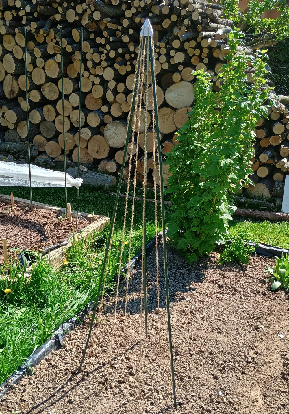 Trellis for plants by Amater MakerWorld: Download Free 3D Models