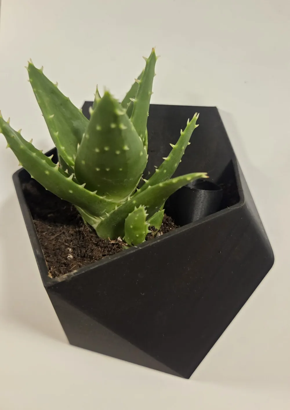 Mini Watering Funnel - Free 3D Print Model - MakerWorld