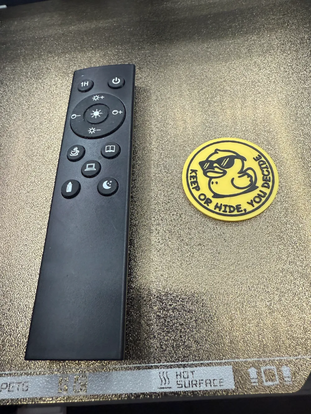 KEEP OR HIDE, YOU DECIDE COIN FOR CRUISING DUCKS by 3DPrinting4fun ...