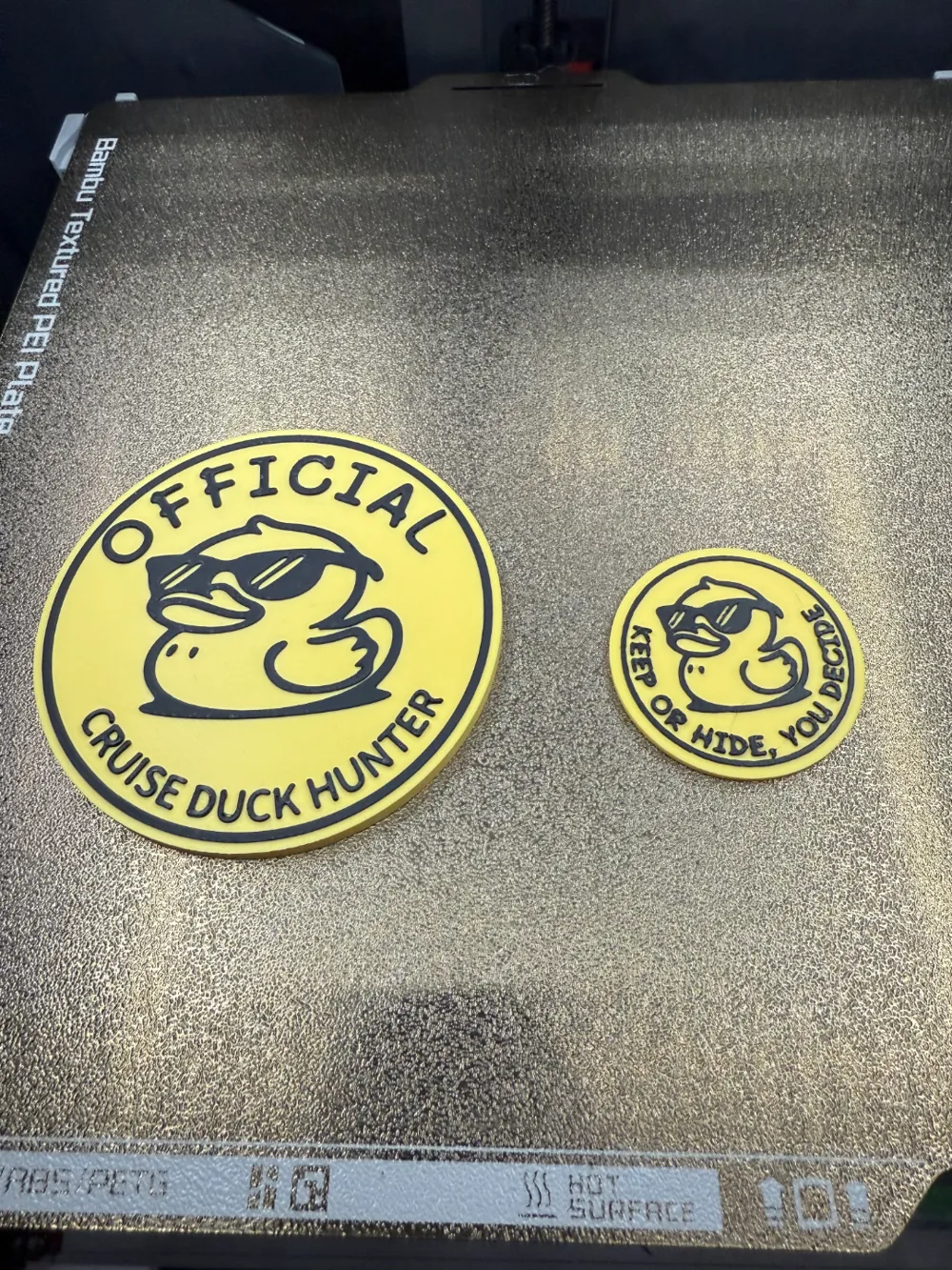 KEEP OR HIDE, YOU DECIDE COIN FOR CRUISING DUCKS by 3DPrinting4fun ...