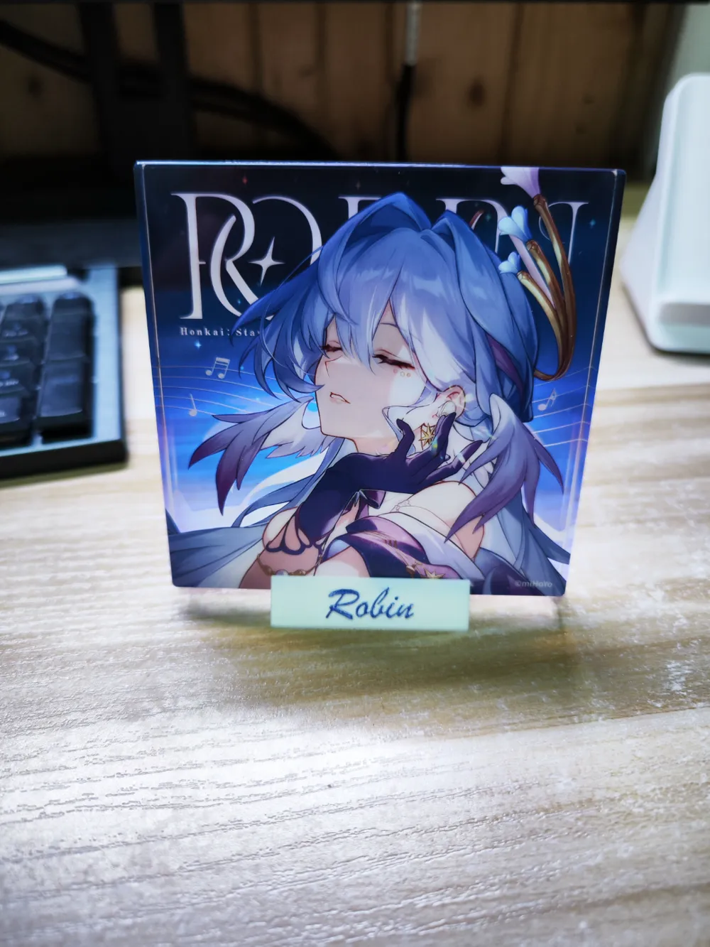 Robin Acrylic Brick Stand by 璀璨星空 - MakerWorld