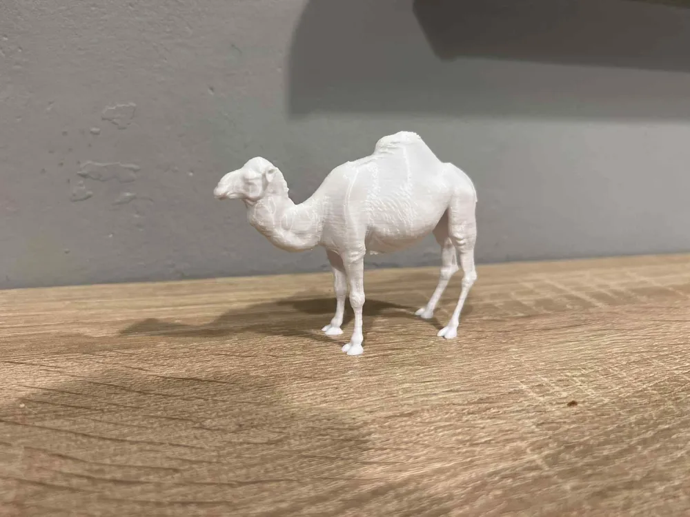 Dromedary - Arabian Camel - Animal - Free 3D Print Model - MakerWorld