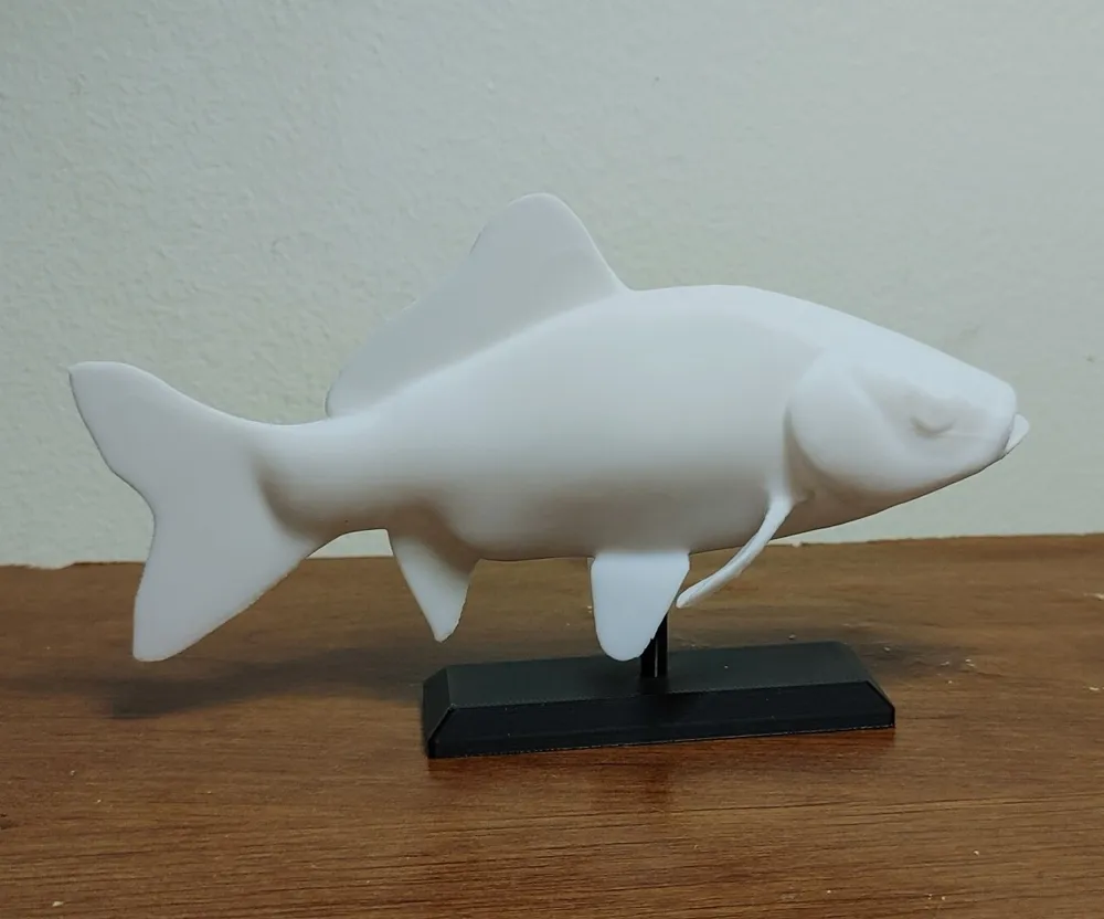 Goldfish Mount by Fish PrintsMakerWorld: Download Free 3D Models