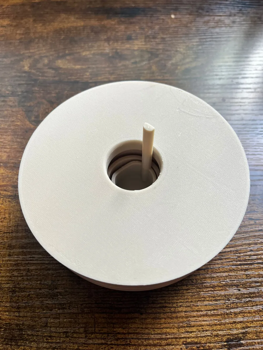 Brine shrimp hatchery dish by serpeggioMakerWorld: Download Free 3D Models