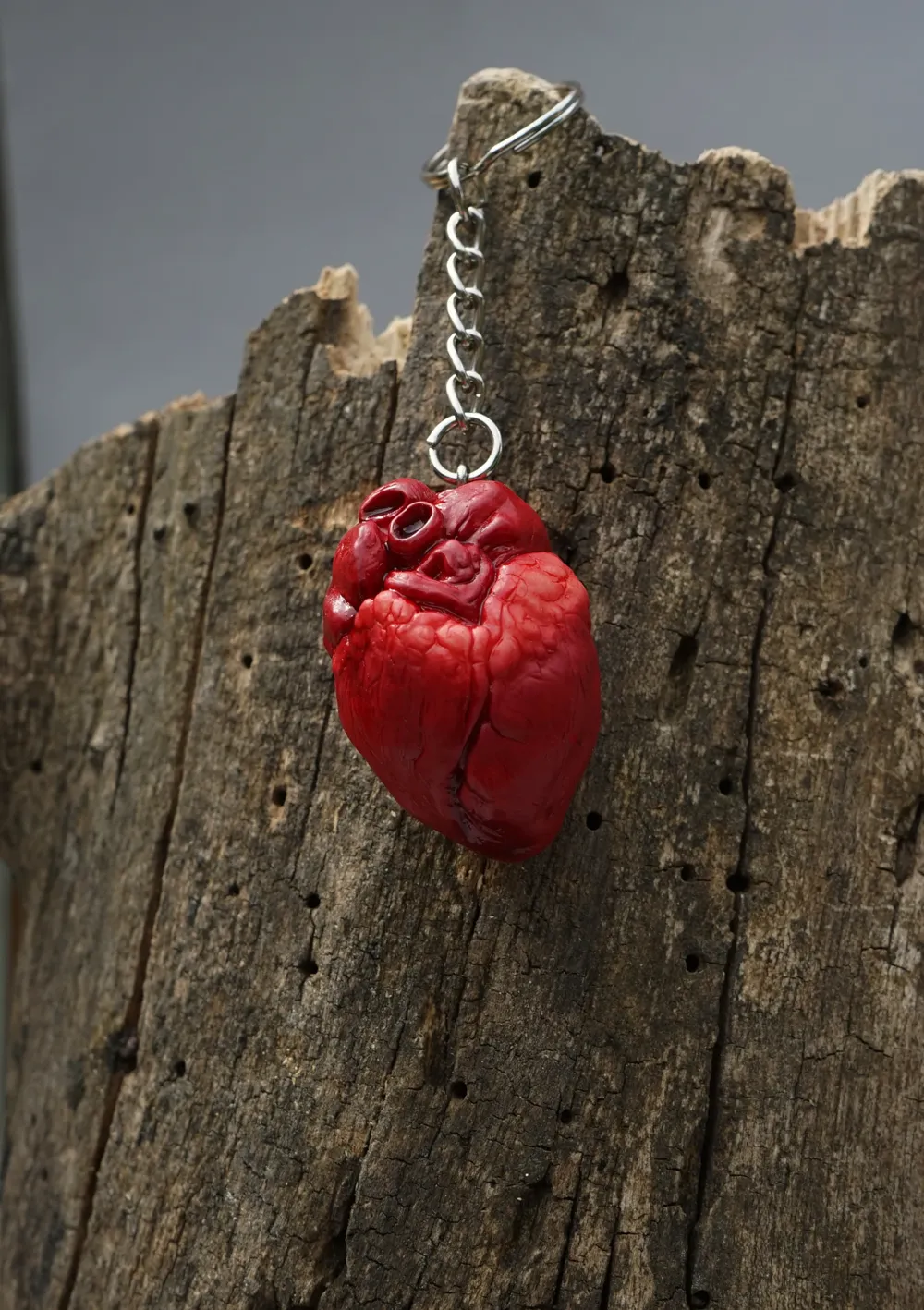 Realistic Heart Keychain 3D Print by Imagina.3d MakerWorld: Download ...